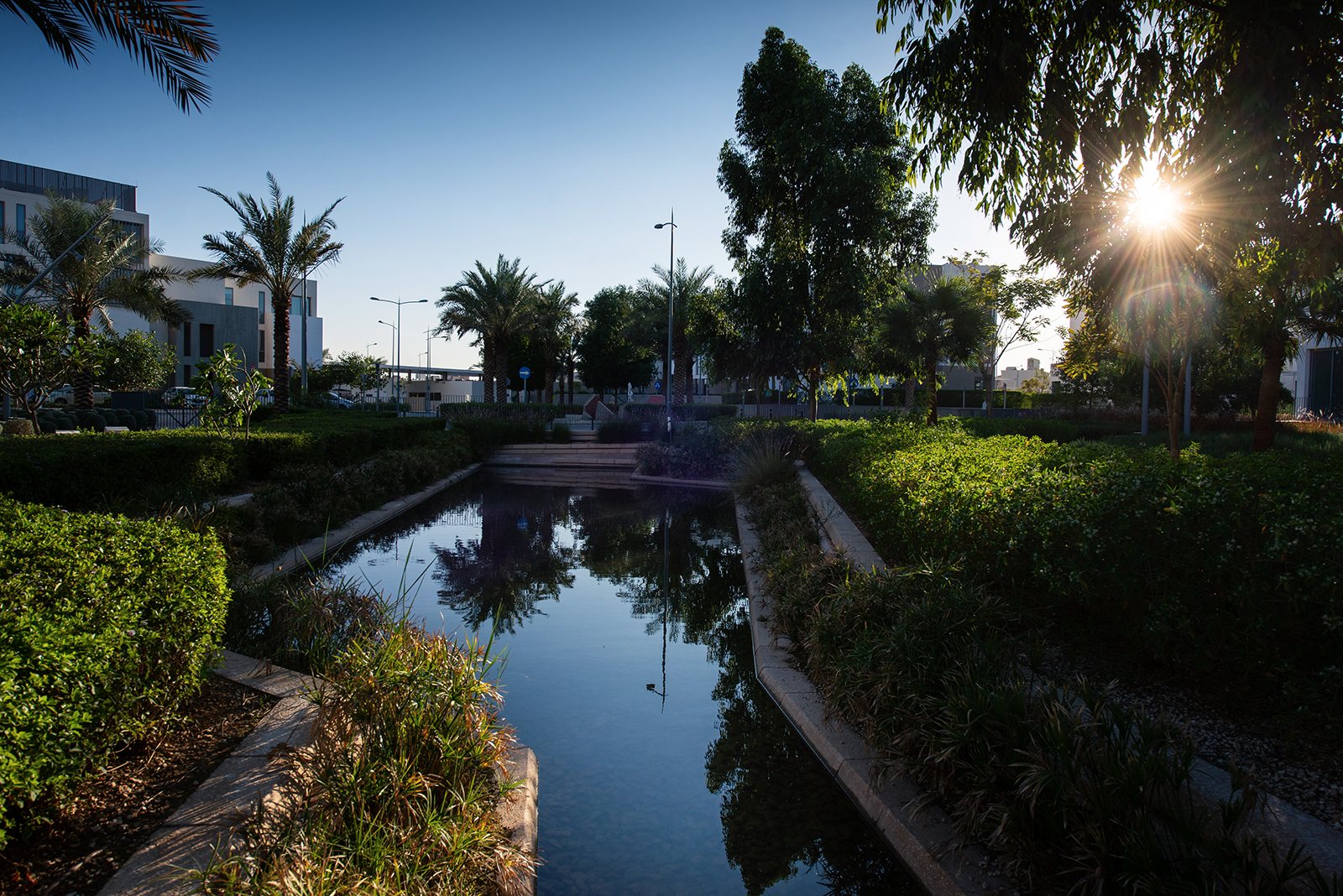 Wadi Qortuba Oasis Compound – Andrew Shenouda Photography